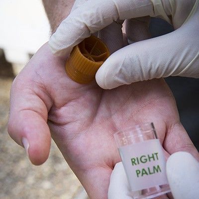 Sirchie Primer Residue Collection Kit for SEM (Scanning Electron ...